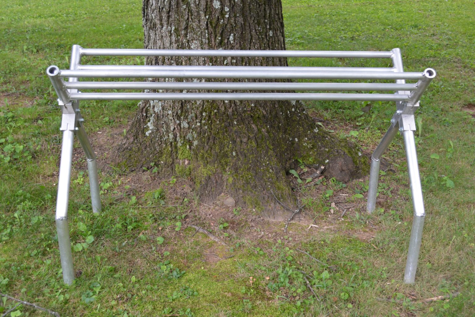 Items For Sale - Young's Taxidermy